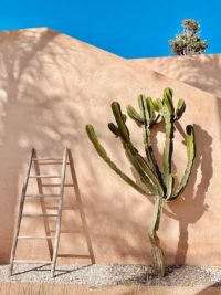 Top 5 des activités de team building à Marrakech